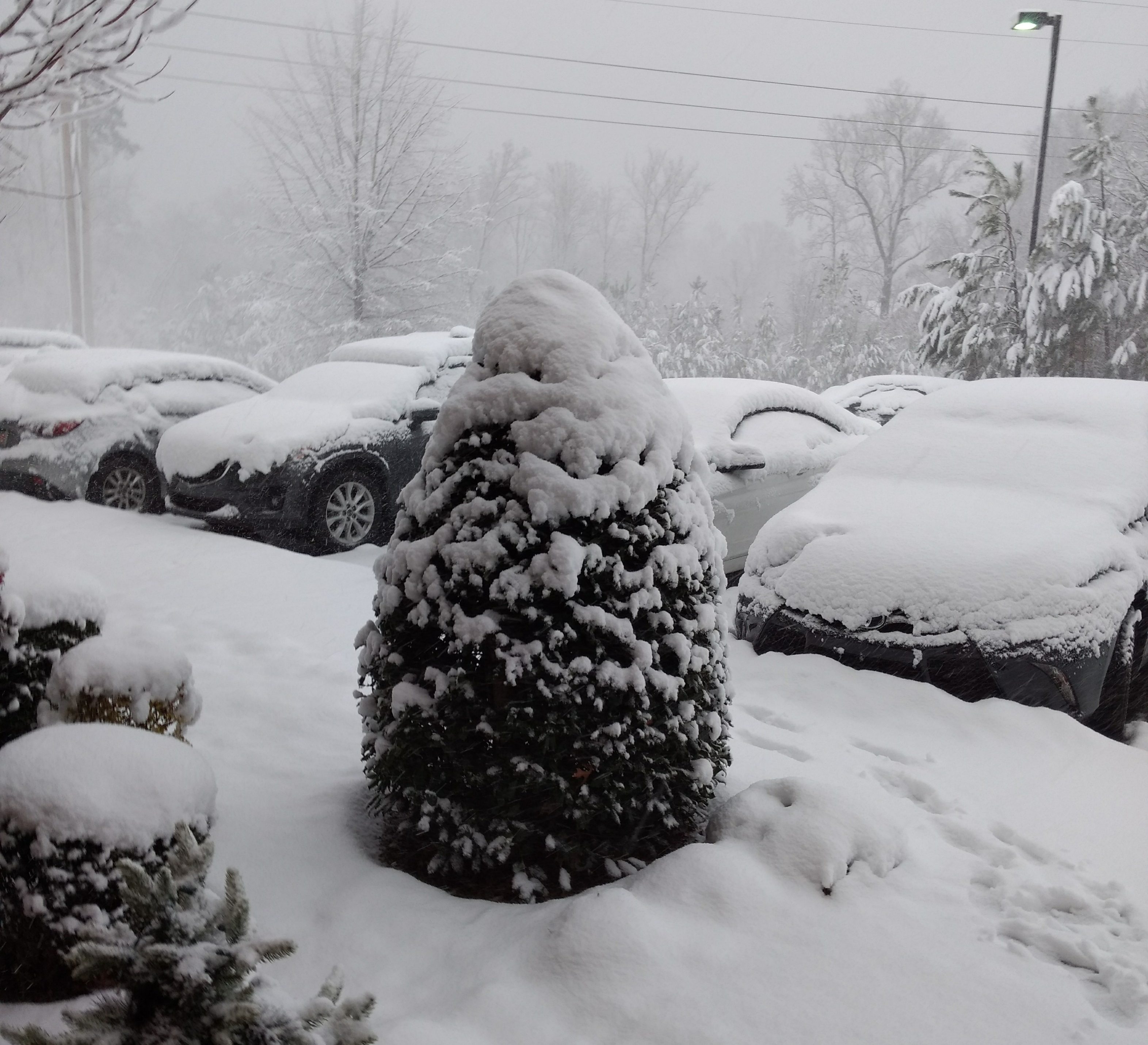 Driving Safely in Snow – joyful2beeblogs